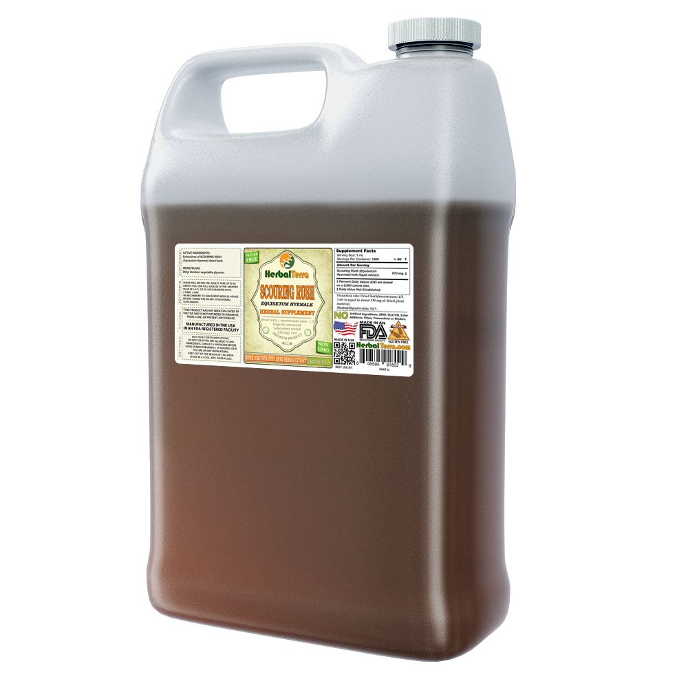 Scouring Rush (Equisetum Hyemale) Tincture, Organic Dried Herb Liquid ...