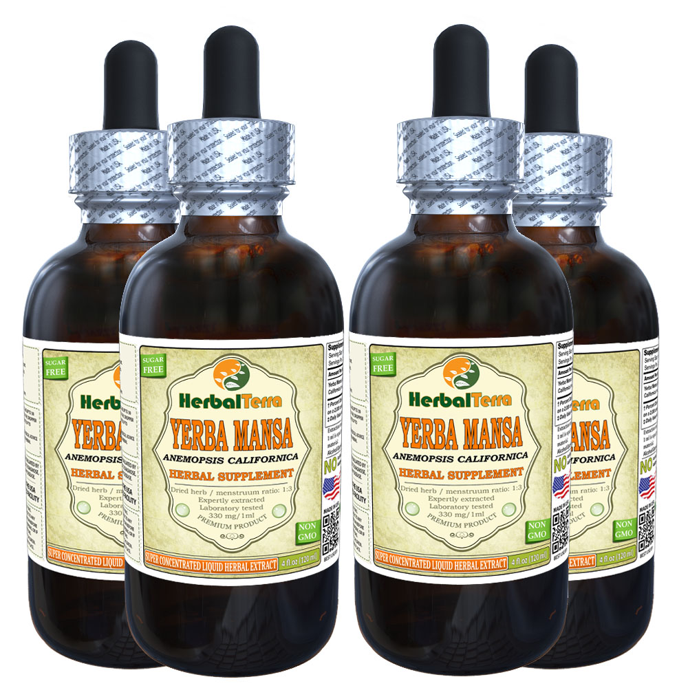 Yerba Mansa (Anemopsis Californica) Tincture, Dried Roots Liquid ...