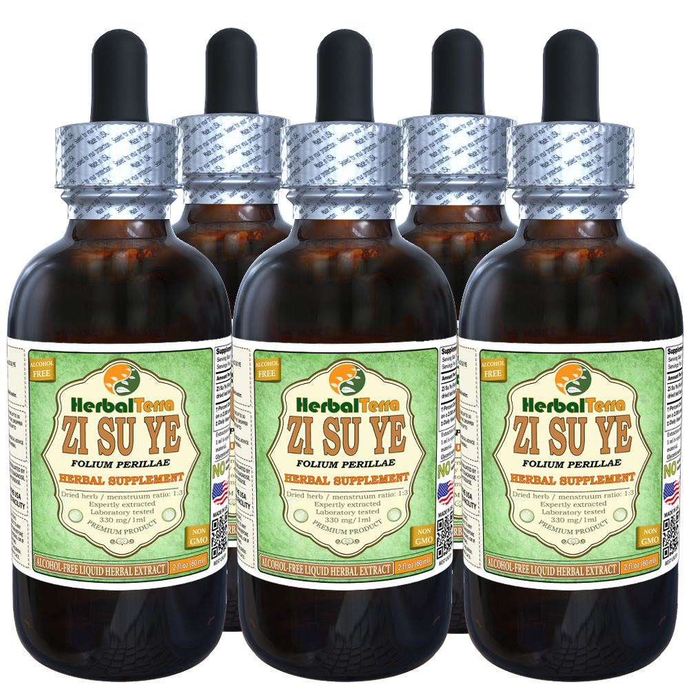 Zi Su Ye (Folium Perillae) Tincture, Organic Dried Leaves Liquid ...